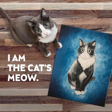 Project Pet - Sun, Jan 26 3PM at Brier Creek