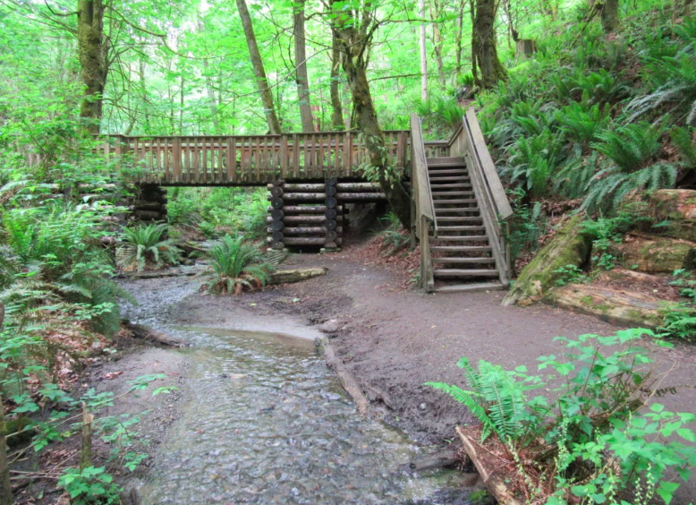 Best Hiking and Walking Trails in Federal Way: A Nature Lover’s Guide ...